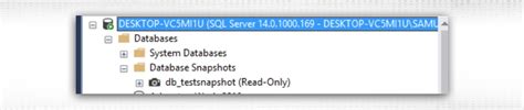 snapping a picture of a database database snapshot
