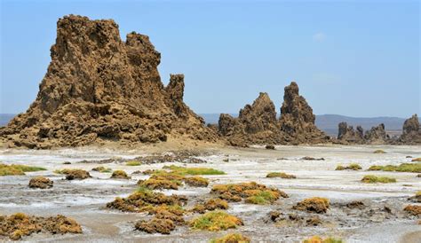 Exploring Djibouti Geography History And Multifaceted Culture