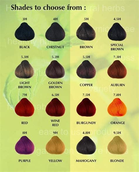 Henna Body Art How To Dye Hair With Hennanatural Hennahenna Color