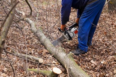 Premium Photo Chainsaw In A Hands