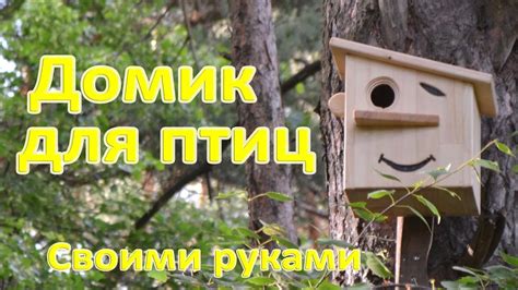 Домик для птиц своими руками Youtube