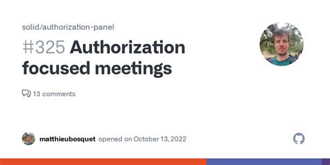 Authorization Focused Meetings · Issue 325 · Solidauthorization Panel