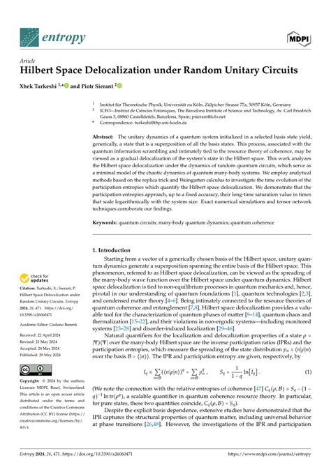 Pdf Hilbert Space Delocalization Under Random Unitary Circuits