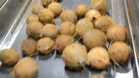 Coconut Tracker Counter Object Detection Model By Imsara Samarasinghe