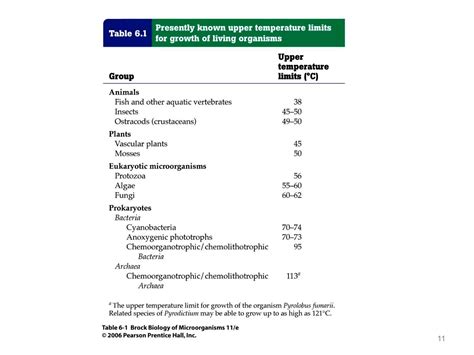 Bacteria Morphology And Classification Pptx