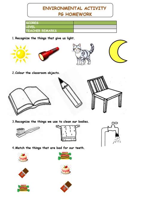 Play Group Environmental Activities December 2024 Holiday Assignment