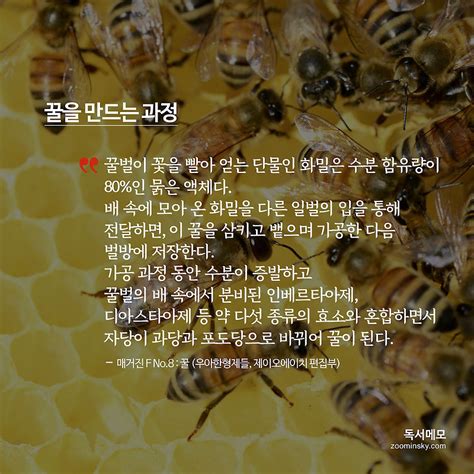 꿀을 만드는 과정