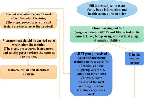 Experimental Process Download Scientific Diagram