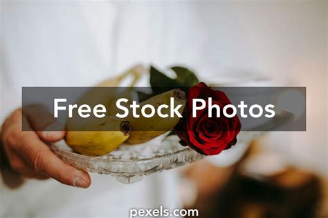 Fruit Sex Metaphore Photos Download The Best Free Fruit Sex Metaphore