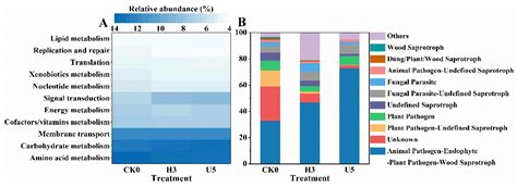 Responses Of Phyllosphere Microbiome To Ozone Stress Abundance