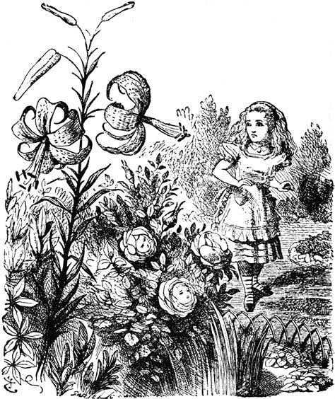 Pictures From Through The Looking Glass Alice In