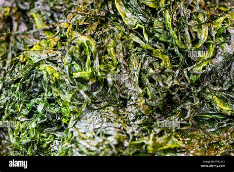 Fresh Nori Seaweed