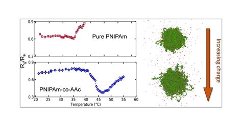 Role Of Charge Content In The Two Step Deswelling Of Polyn Isopropylacrylamide Based Microgels