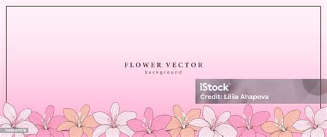 옅은 분홍색 꽃무늬 배경에 파스텔 색상의 귀여운 백합이 있습니다 텍스트 사진 엽서 졸업장 및 프레젠테이션의 배경 0명에 대한 스톡 벡터 아트 및 기타 이미지 Istock