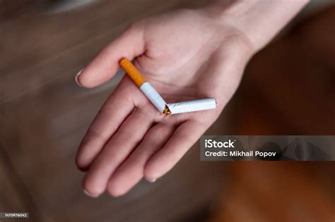 담배가 고장났습니다 한 여자가 깨진 담배를 손에 들고 있습니다 행복한 여자는 손바닥에 깨진 담배를 보여줍니다 나쁜 습관 건강 관리 개념을 종료하십시오 금연 담배 흡연 개념
