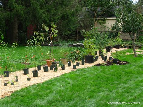 Hedgerow Garden ArcheWild Architects Of Wild Spaces
