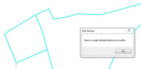 Problem Unable To Edit Vertices During An Edit Session