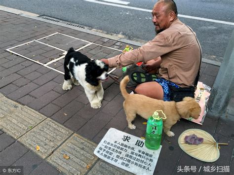盘点大街上常见的13种乞讨方式，哪几种能让你心生怜悯慷慨解囊？乞丐