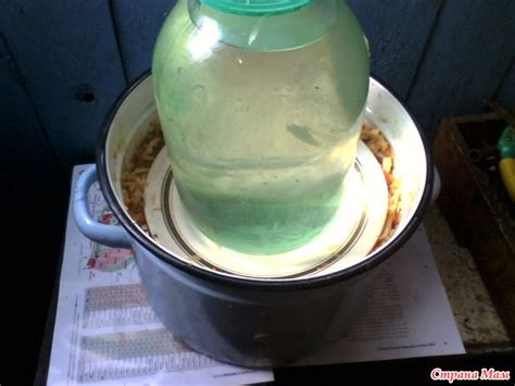 Начинка из капусты для пирогов Люблю готовить Страна Мам