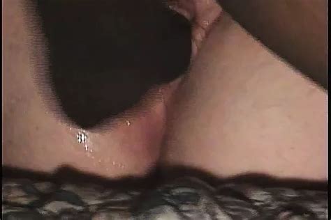 Kentucky Porn Videos XHamster