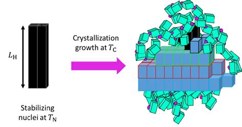 1 Schematic Representing The Arrangement Of Polymers In A Lamellar Download Scientific Diagram