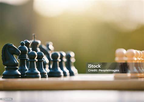 아일랜드에서 도전 전략 및 두뇌 경쟁을위한 자연에서 게임 스마트 및 체스 스포츠 논리 놀이를 위한 공원이나 들판에서 게임을 위한