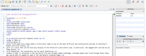 Oxygen Xml Editor A Snapshot Download Scientific Diagram