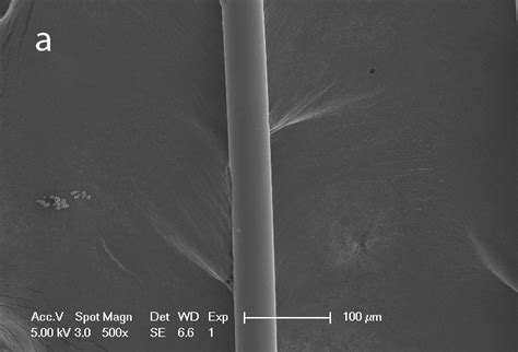 sem photographs of pva sio2 tio2 hybrid fiber a and b of fiber