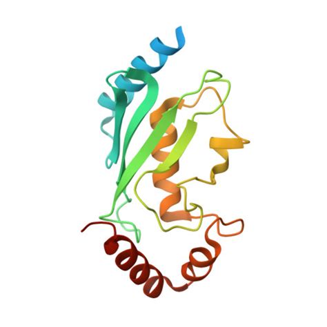 Rcsb Pdb 1i7k Crystal Structure Of Human Mitotic Specific Ubiquitin