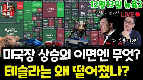 미국주식시황오늘 왜 반등했나 테슬라 구글은 왜 떨어졌나엔비디아 애플 아마존 메타 마이크로소프트 리비안 소파이 팔란티어