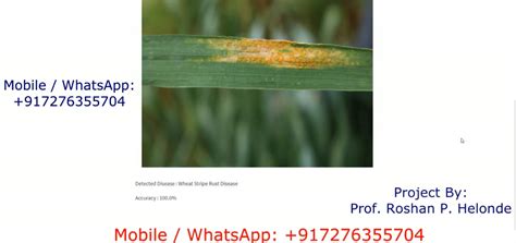 Wheat Leaf Disease Detection Using Image Processing Wheat Plant Disease Classification Using