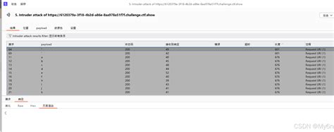 ctfshow web入门 ssti（web361 web368）上 csdn博客