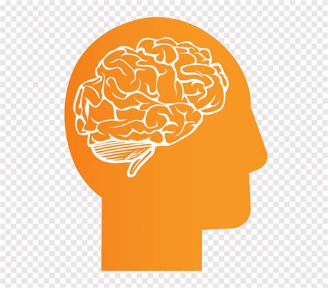 인간 두뇌 Cortechs 연구소 컴퓨터 아이콘 신경계 뇌의 개발 사람들 주황색 Png Pngegg
