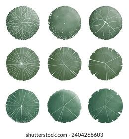 Set Tree Top View Landscape Plan Stock Illustration 2404268603 Shutterstock