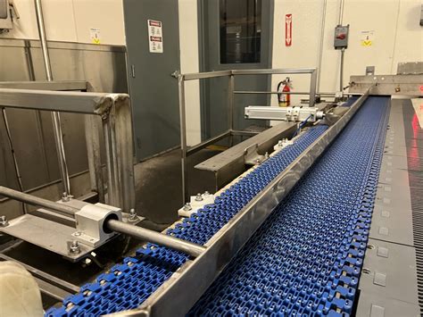 Fruit Processing And Packaging Equipment Rabin Worldwide