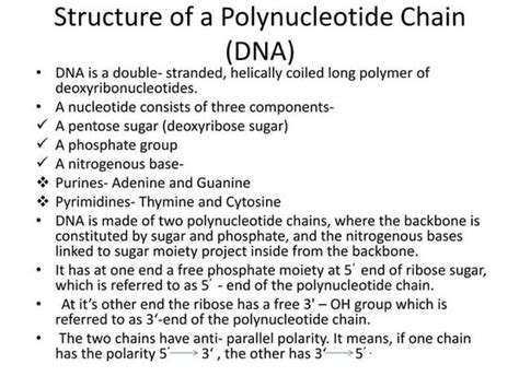 Molecular Basis Of Inheritance Pptx
