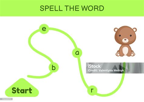 아이들을위한 미로 맞춤법 단어 게임 템플릿 단어 곰 인쇄 워크 시트를 읽는 법을 배웁니다 영어 공부를 위한 액티비티 페이지 어린이 발달을 위한 교육 활동 벡터 그림입니다 0