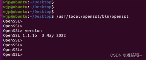 【linux缺失库】libsslso10。linux Ubuntu 2004lts安装openssl步骤。apt Get Install
