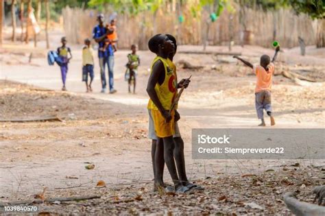 노란색 셔츠에 미확인된 세네갈 소년을 찾습니다 Kaguit 마 근처 성스러운 숲에서 나무 막대기를 보유 하 고 건조한에 대한 스톡 사진 및 기타 이미지 Istock