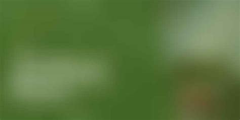 Is Creating A Bonsai Tree Torturing The Plant