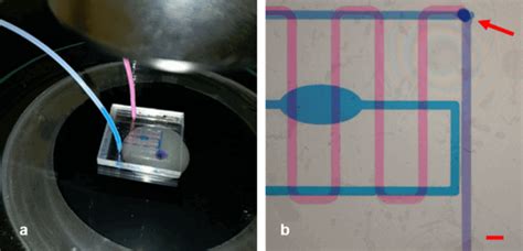 3d Microfluidic Micromixer On Chip Particle Manipulation Elveflow