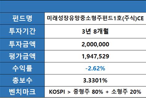 미래성장유망중소형주펀드1호주식ce 펀드 3년 8개월 투자 수익률 262 네이버 블로그