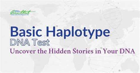 Basic Haplotype Dna Test Dna Consultants