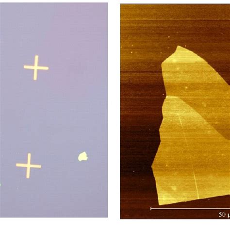 2a Om Image Of Res 2 Sample Transferred On Bare Sio2 Wafer 2b Afm Download Scientific