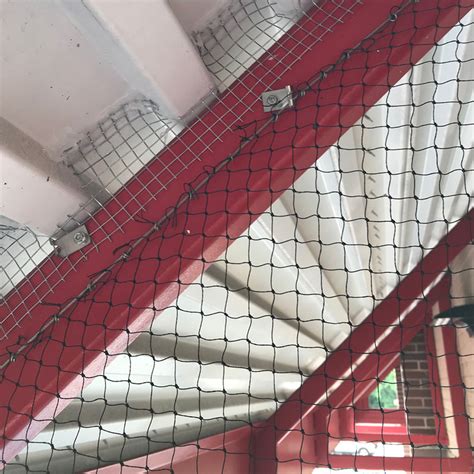 Bird Netting Landmark Bird Control Bird Netting Bird Control Bird Netting New Jersey