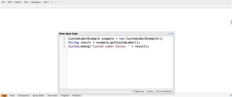 how to access custom labels in apex salesforce megha
