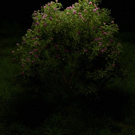 proper translucency shader lighting and rendering blender artists