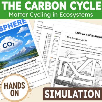 Carbon Cycle Simulation Activity Ecosystems Human Impact Graph