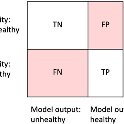 Model Outputs Compared To Reality There Are True Negatives Tn False