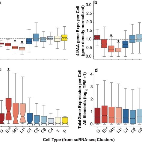 Gene Expression Patterns Across Cell Types And Chromosome Elements For